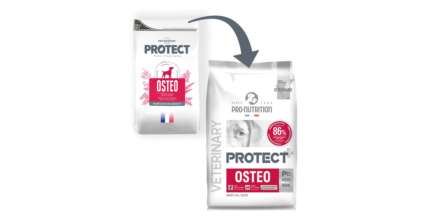 Pro-Nutrition Protect Dog Osteo - Pro-Nutrition - PetABC: Szuper ...